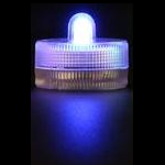 Pee Lights – CoyoteVest